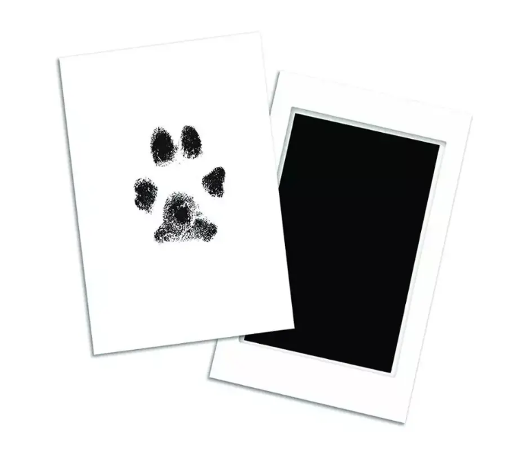 Dog & Cat Paw Print Activity – Lil Zoomi